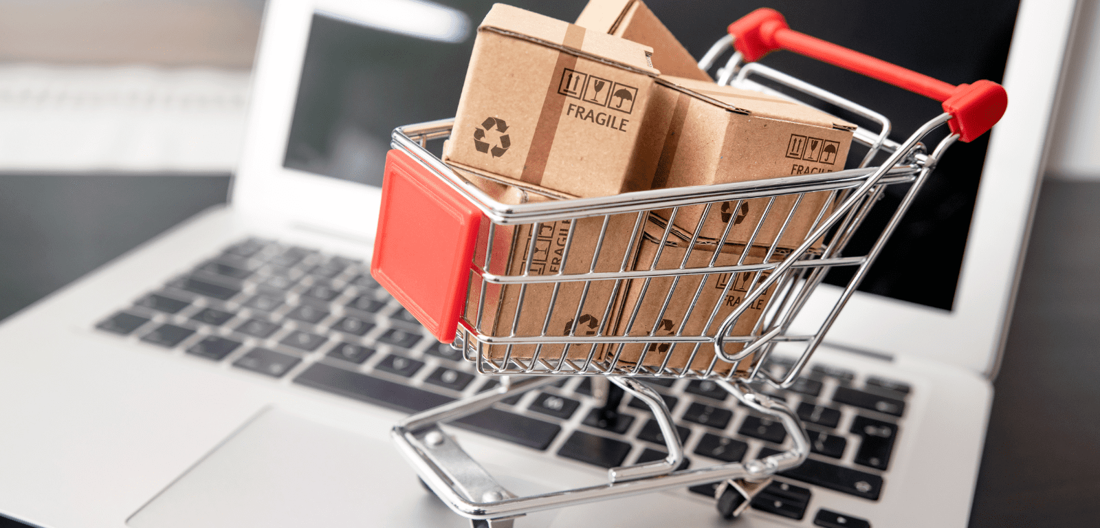 How a Transactional Website Can Help You | Orion Print